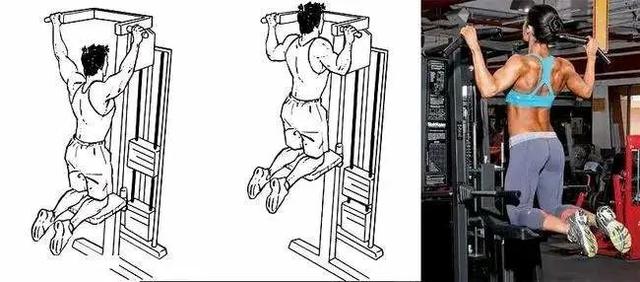 When doing a general back training, what's the best first move? - iNEWS