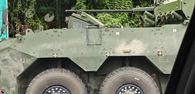 Has nature's gift arrived? A large number of infantry fighting vehicles ...