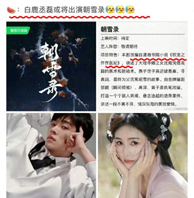 Cheng Lei's first male-led drama, "Chao Xue Lu" with Bai Lu, fans are ...