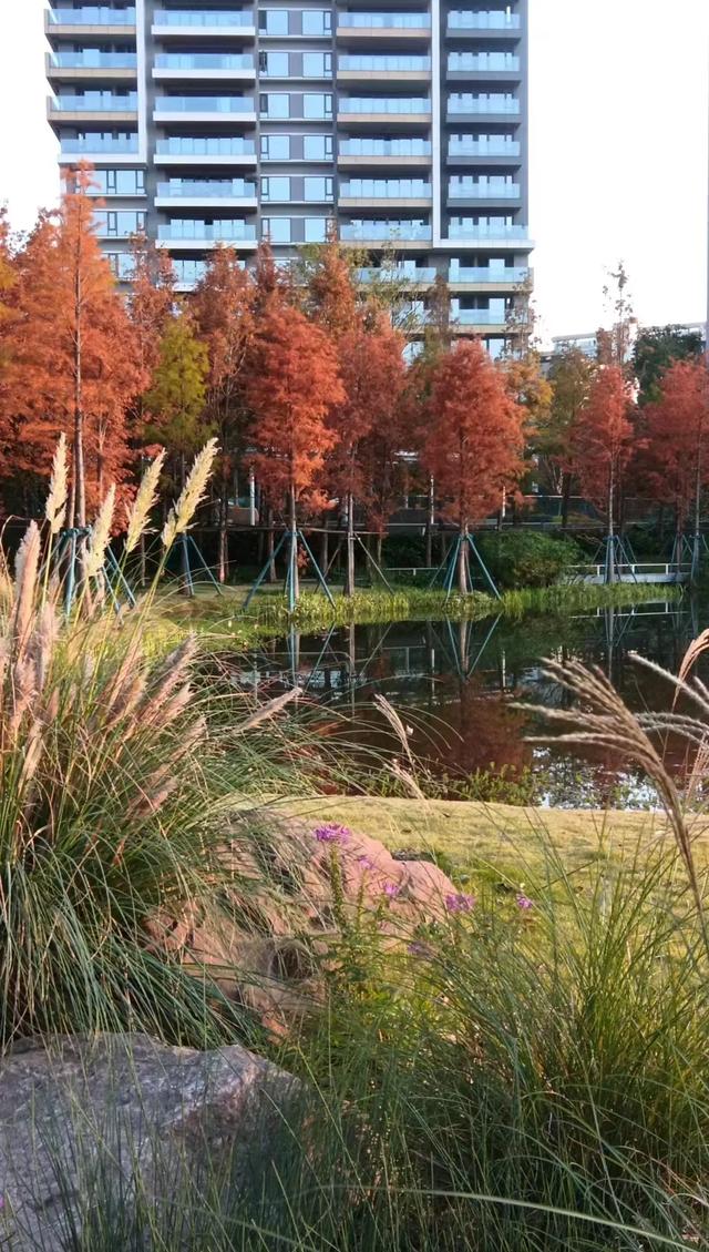 My secret place in autumn - a season full of surprises - iMedia