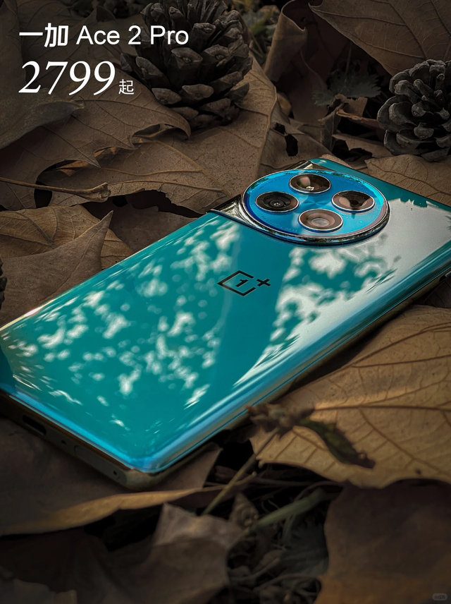 No need to buy expensive mobile phones! Take stock of 4 low-budget and ...