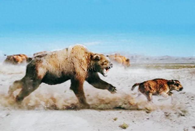 Earth's Paleontology—Short-faced Bear - iMedia