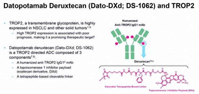 Phase III study of Daiichi Sankyo's TROP2 ADC in breast cancer reaches primary endpoint of PFS ...