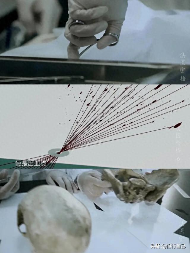 10 real cases, CCTV documentary "Forensic Secret Files" reveals the ...