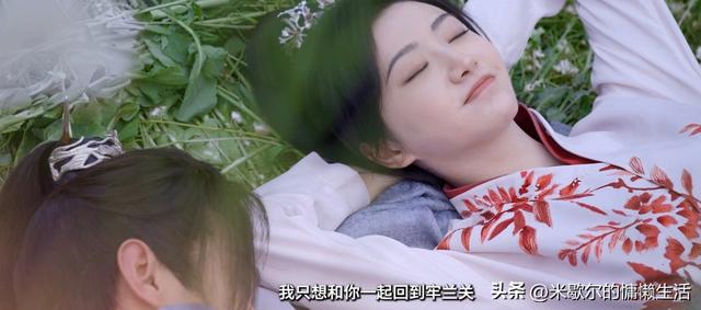 "Le You Yuan" starts tonight! 5 powerful players are joining the team ...