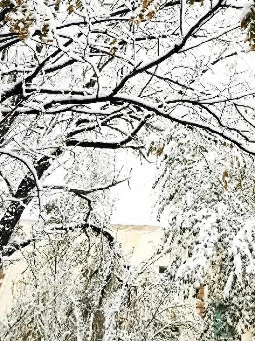 [Original] Niannujiao·Tiannu Sanxianpa (New Rhyme) - iNEWS